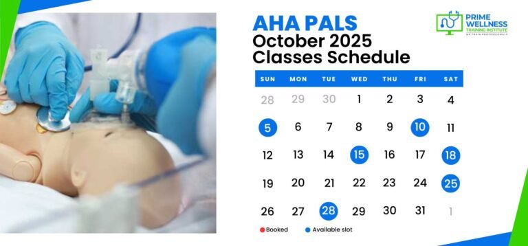 AHA PALS Training Course & Certification in Dubai